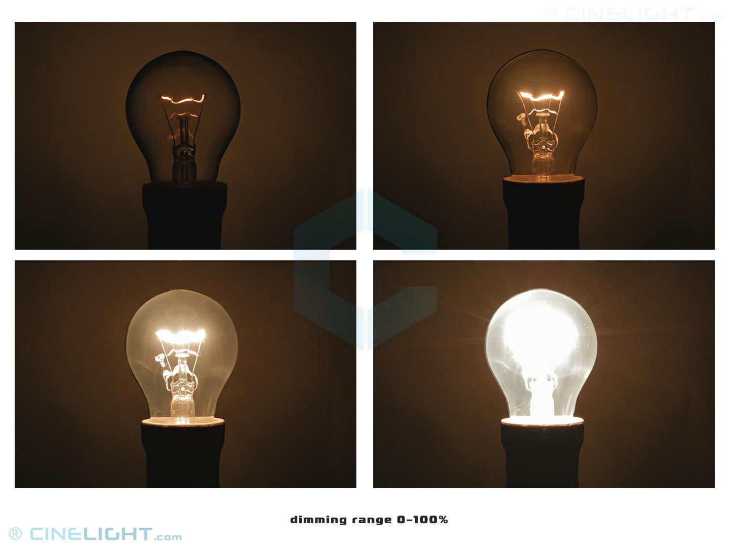 Light Dimmer - 1000 watts